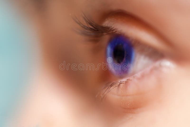 Real Eyeball Side View