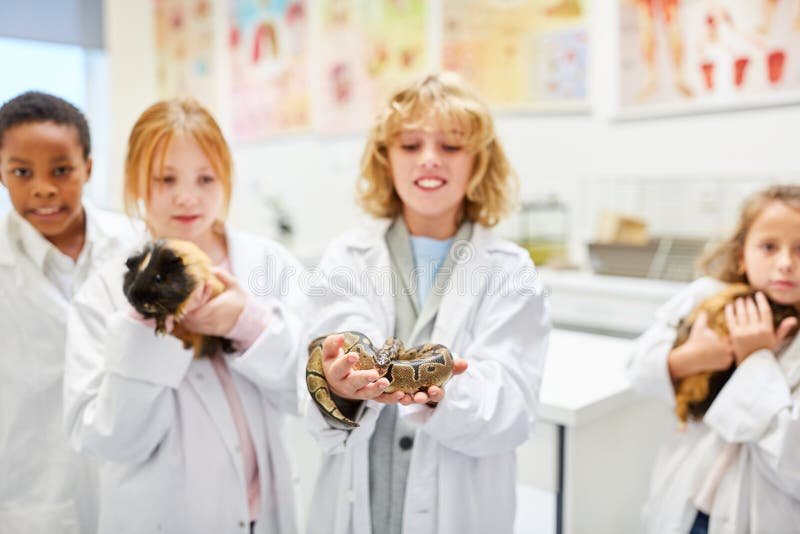 Students Research about Different Animals Stock Photo - Image of ...