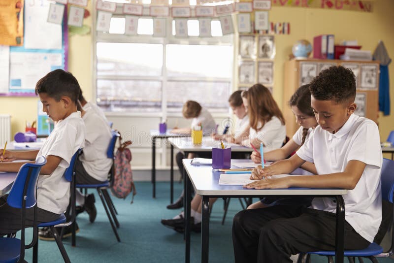 School Kids Work Together on a Class Project, Elevated View Stock Photo ...