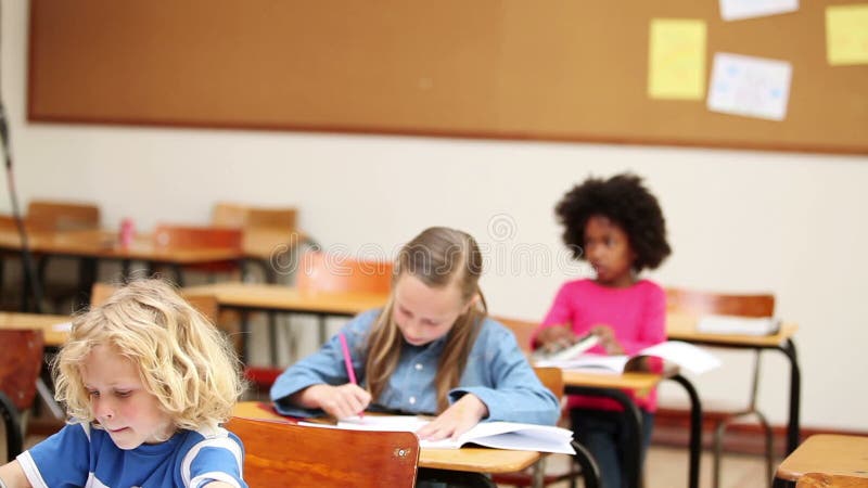 Pupils working quietly stock footage. Video of studying - 42807736