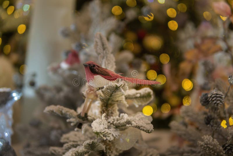 Small White Clip Birds Christmas Tree Stock Photos - Free & Royalty ...