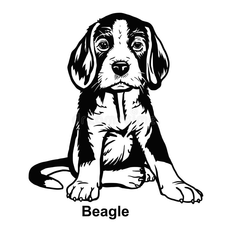 Puppy Beagle - Dog Breed, Puppy Breed Vector File, Detailed Vector ...
