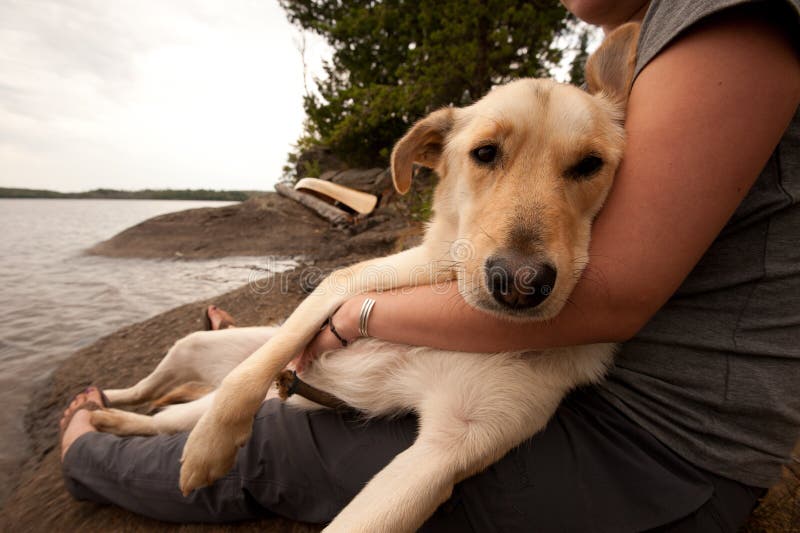 Puppy cuddle stock photo. Image of holding, lake, cuddling - 27395894