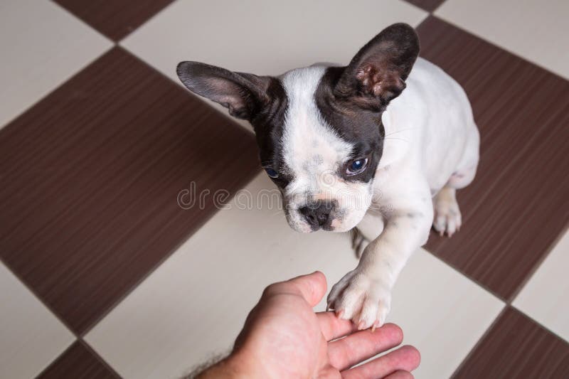 3D Hand Giving Virtual Keys To New House Stock Photo - Image of button ... 3D Hand Giving Virtual Keys To New House Stock Photo - Image of button ...