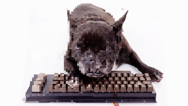 Puppy Hacker with Computer Keyboard Stock Video - Video of network ...