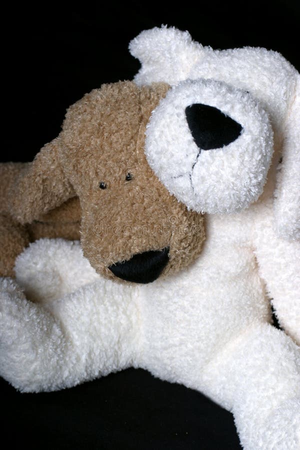 Puppy hug stock image. Image of white, friend, stuff, friendship - 209295