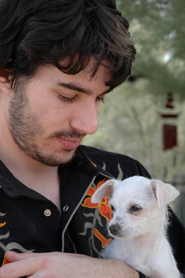 Puppy love stock photo. Image of furry, curious, hold - 10075906