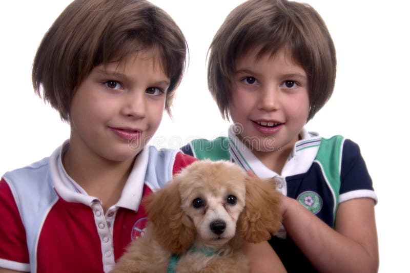 Puppy Lovers stock image. Image of petting, furry, happy - 2470165