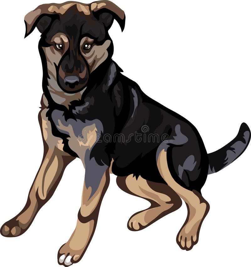 Scared Puppy Stock Illustrations – 275 Scared Puppy Stock Illustrations ...