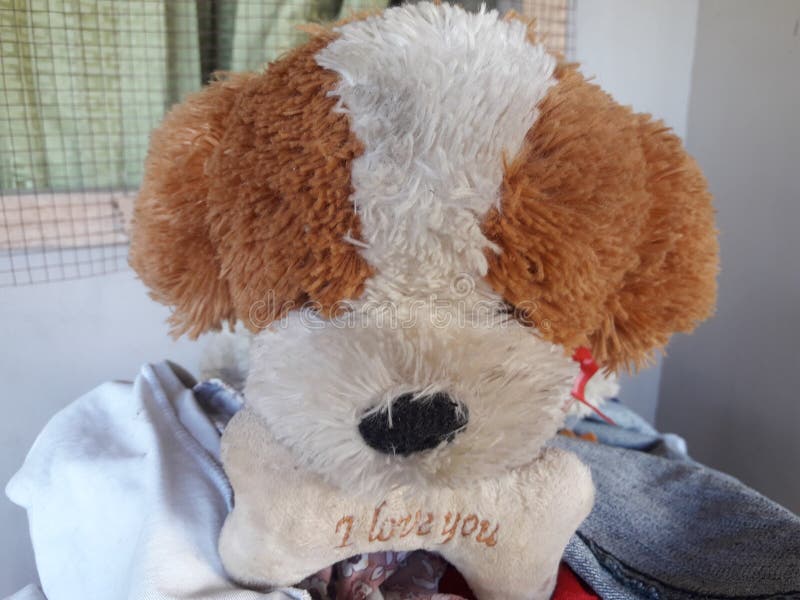 Puppy stuff toy stock photo. Image of stuff, puppy - 115187874