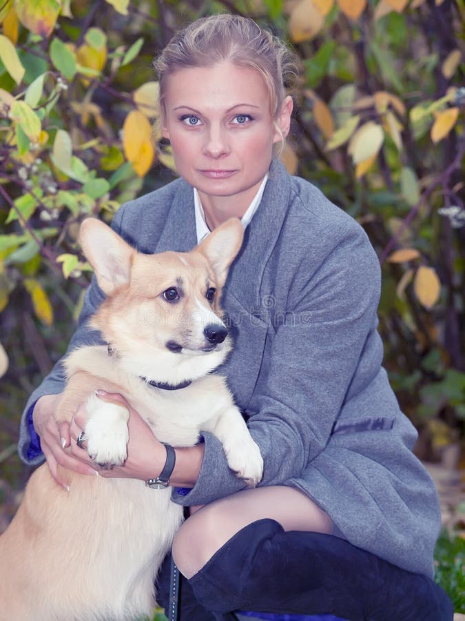 Puppy of Welsh Corgi Pembroke with Owner Stock Image - Image of brown ...