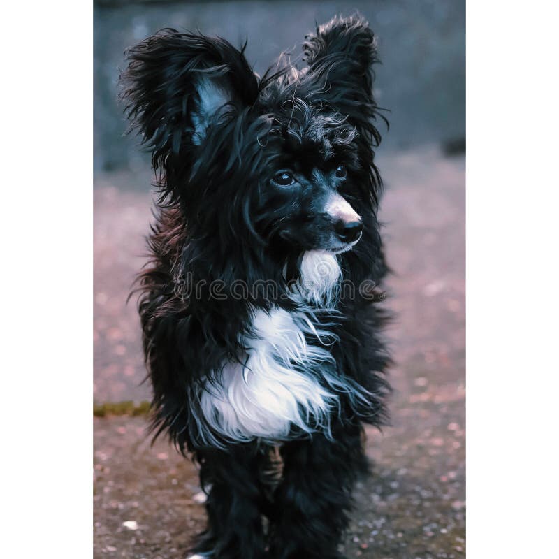 Doy Wind Stock Photos - Free & Royalty-Free Stock Photos from Dreamstime