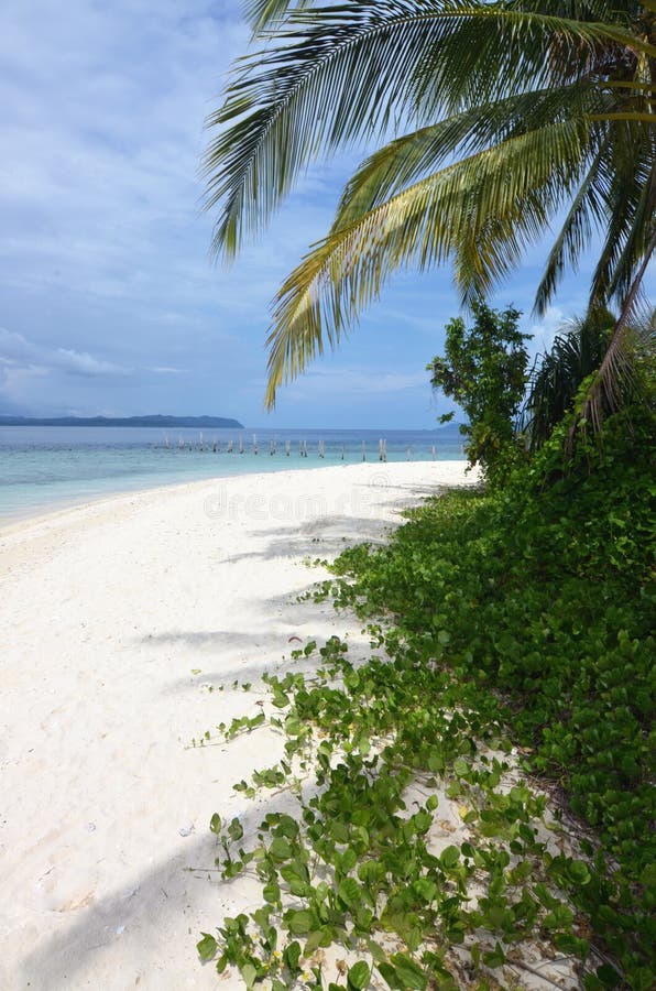 Pure Beautiful and Natural Beach 03 Stock Photo - Image of destination ...