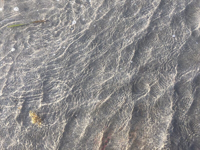 Shallow Water on the Shore of the Beach Stock Photo - Image of recover ...