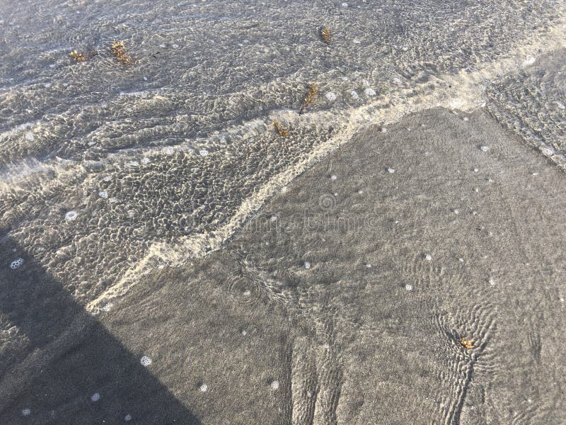 Shallow Water on the Shore of the Beach Stock Photo - Image of parasol ...