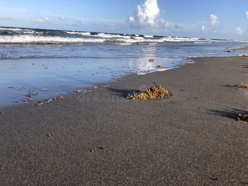Shallow Water on the Shore of the Beach Stock Image - Image of diet ...