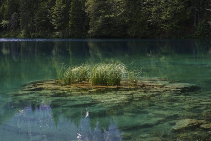 Pure clear water lake stock photo. Image of green, nature - 44876666