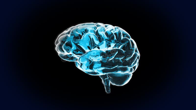 Brain light bulb stock vector. Illustration of imagination - 18299652