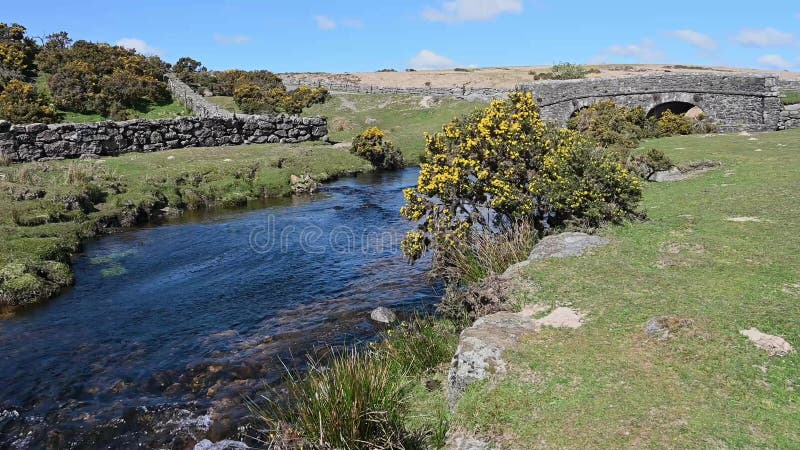 Pure Devon Water Flowing through Dartmoor Stock Footage - Video of ...