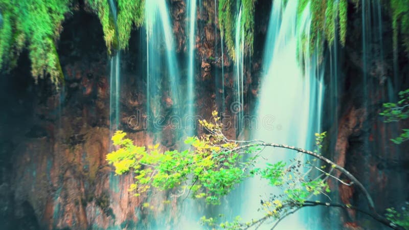 Pure Fresh Water Waterfall in Forest Stock Footage - Video of cascade ...