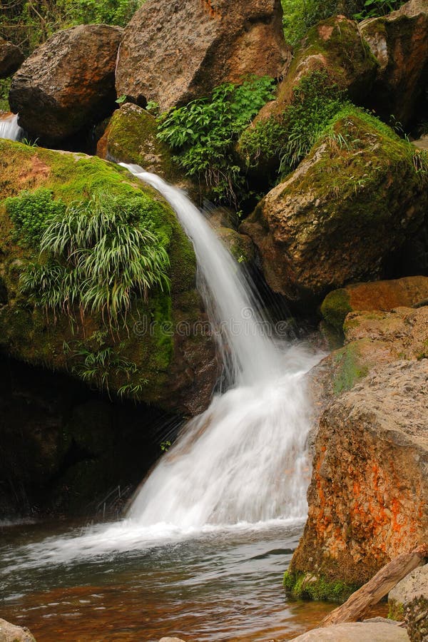 Pure Fresh Water Waterfall Running Over Mossy Rocks in the Forest Stock ...