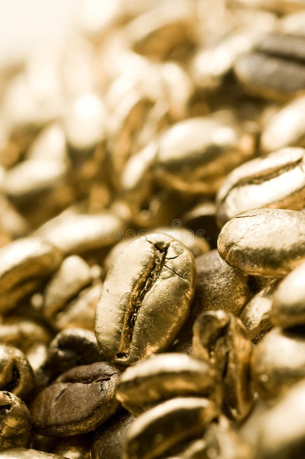 Pure Gold Coffee Beans stock image. Image of food, enjoy - 11498529