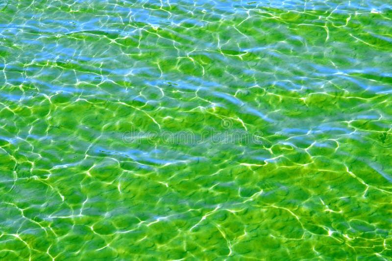Pure green water stock image. Image of pure, clear, wave - 27902113