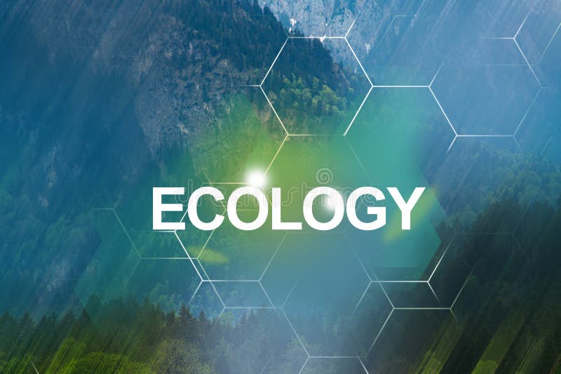 Pure Life in the Mountains Protecting Nature for Future Generations ...