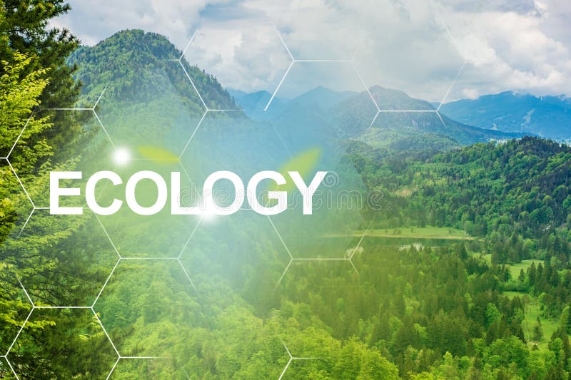 Ecosystem safe environment stock photo. Image of energy - 269989800