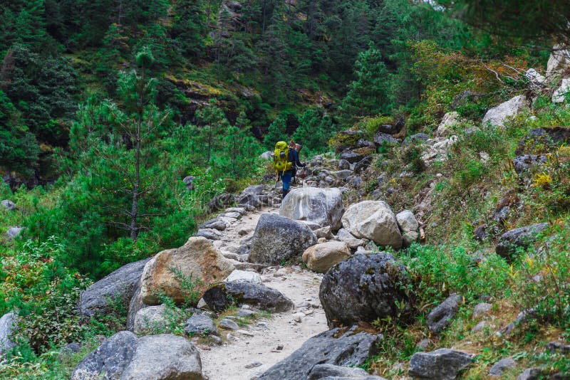 Pure mountain river stock image. Image of landscape, leaf - 91795851