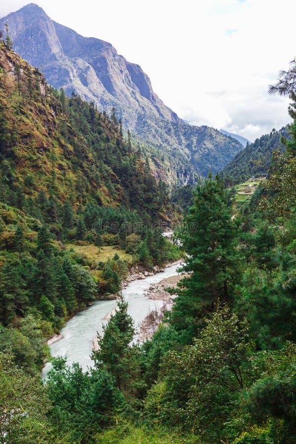 Pure mountain river stock image. Image of scene, outdoor - 92236799