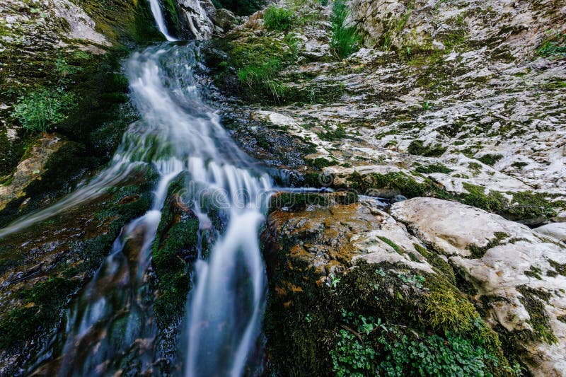 Pure Mountain Spring Water Flowing on Mossy Rocks Stock Image - Image ...