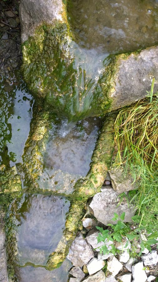 Pure natural water source stock photo. Image of cleanliness - 93237794