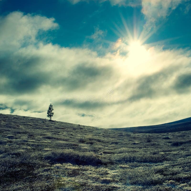 Pure nature in sweden stock image. Image of norge, explore - 5698967