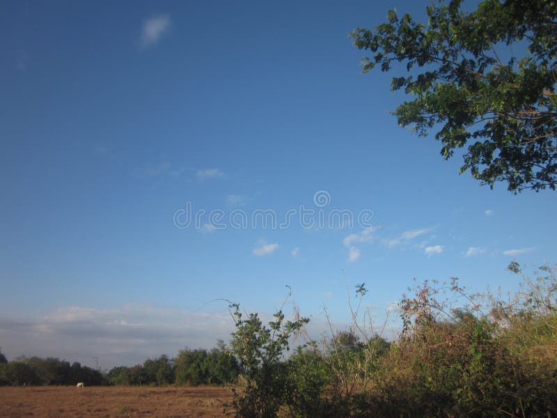 Pure Nature Clean Classic Green Stock Image - Image of pure, green ...