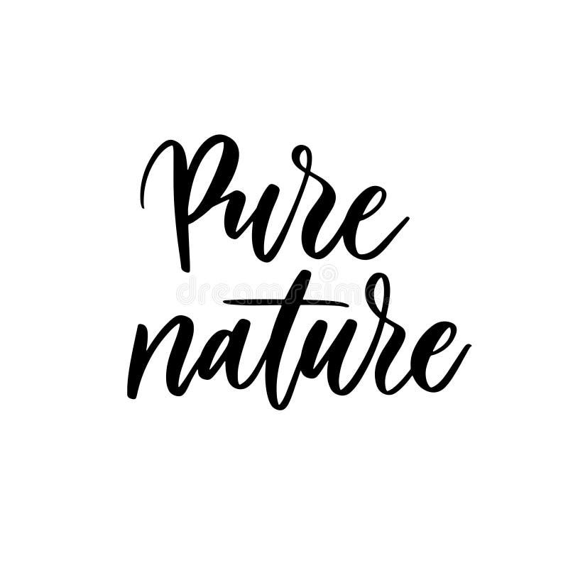 Pure Nature Hand Lettering Eco Label Sticker. Stock Vector ...