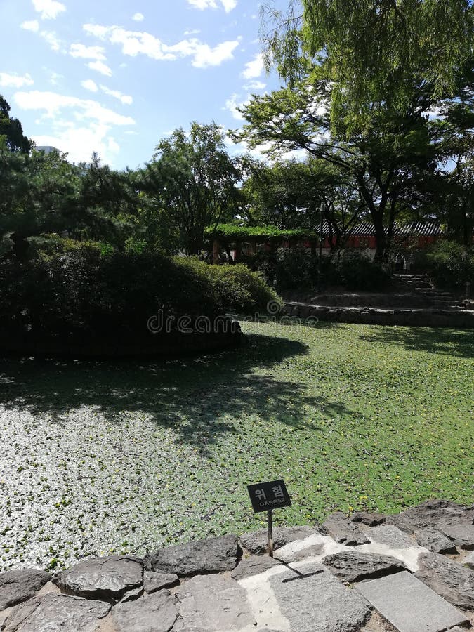 Pure Nature Park from Seoul Stock Photo - Image of plant, estate: 214372416