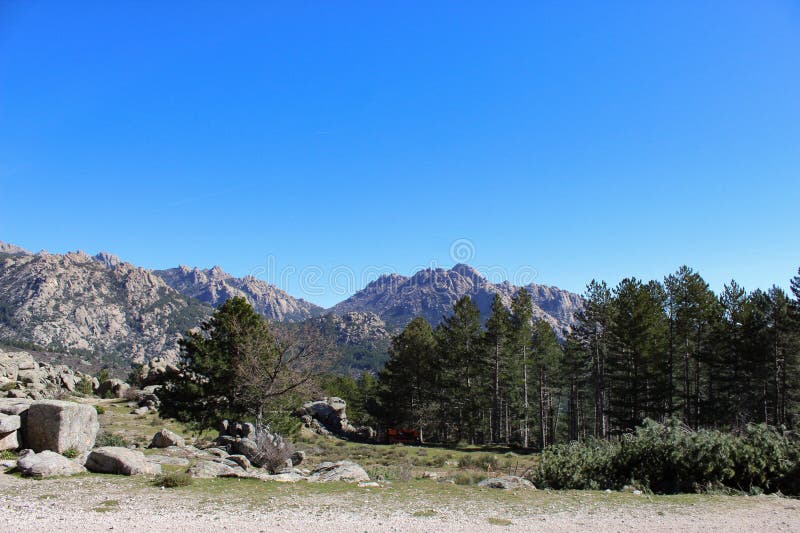 Pure Nature, Trees and Mountains. Meadow and Rock Stock Photo - Image ...