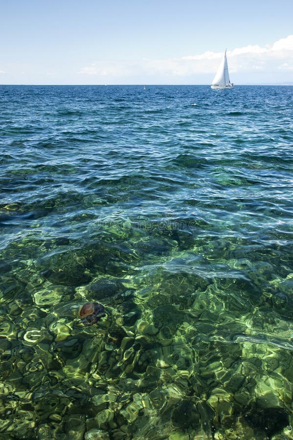 Pure nature stock photo. Image of environment, health - 21618640