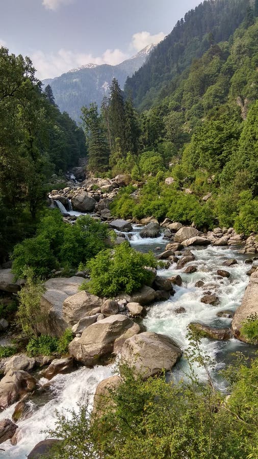 Pure real nature stock photo. Image of pradesh, real - 117991776