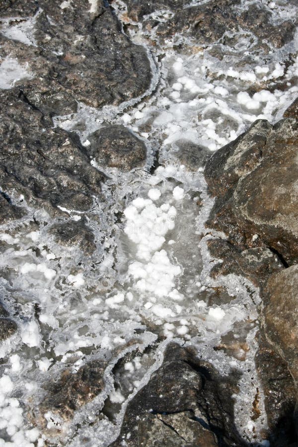Pure sea salt in nature stock image. Image of salt, evaporating - 221861821