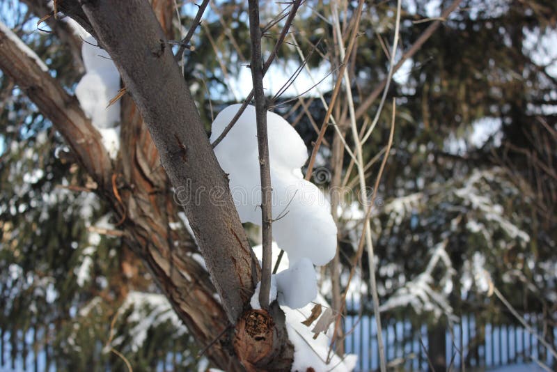Pure Snow on the Tree Trunk Stock Photo - Image of freeze, life: 150101180