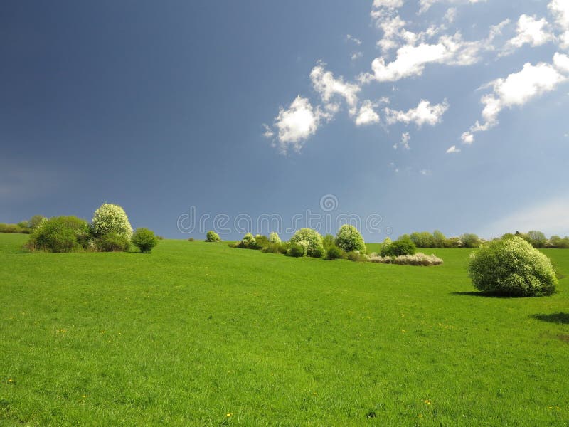 Pure spring nature stock photo. Image of agriculture - 54237194
