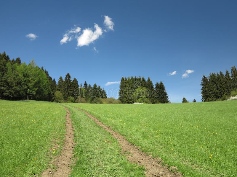 Pure spring nature stock image. Image of panoramic, colorful - 55026019