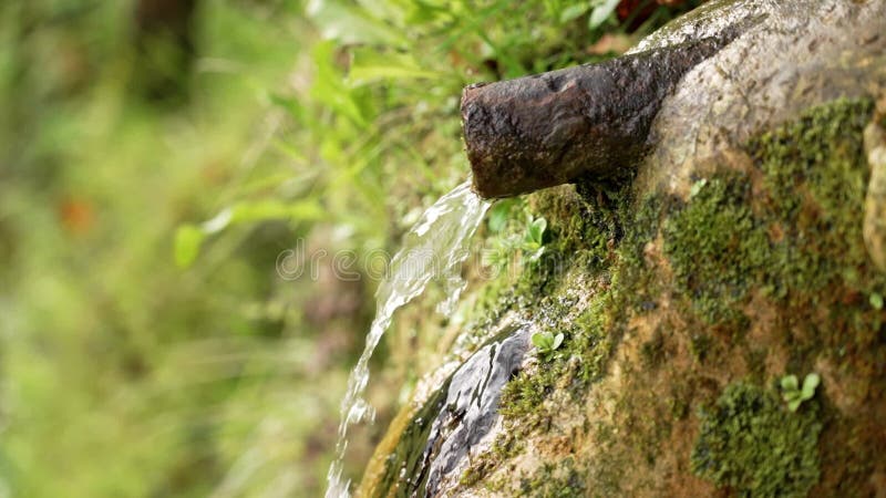 Pure Spring Water Flowing from Pipe in Wild Mountain Nature Reserve ...
