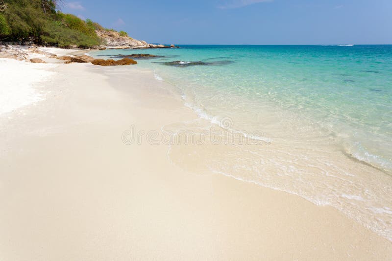 Pure tropical beach stock photo. Image of shore, beach - 25454982