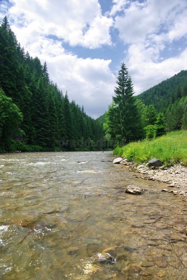 Pure water stock image. Image of flowing, blur, cascade - 10367919