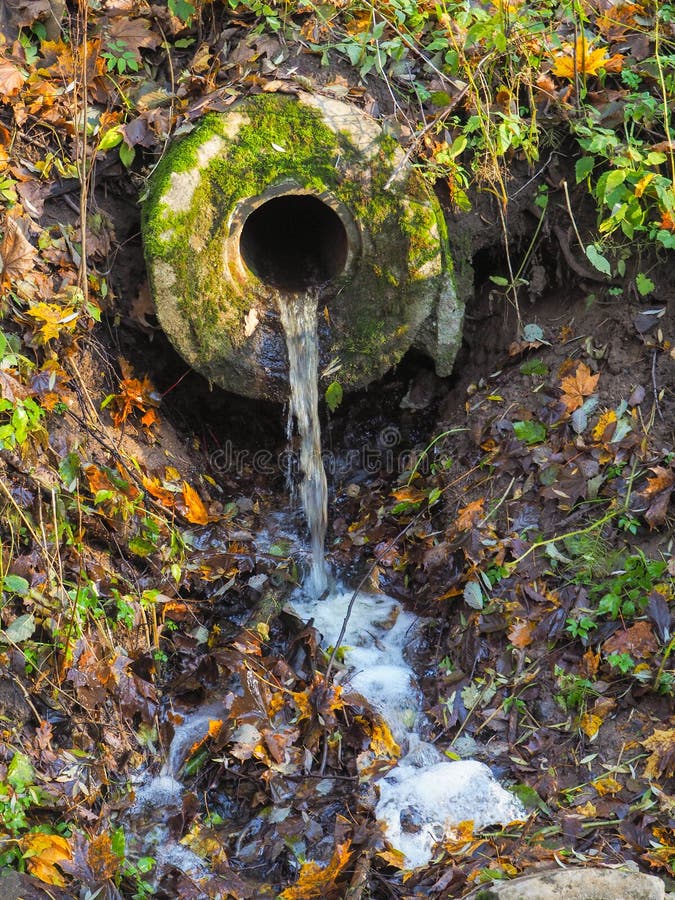 Pure Water Flows from a Spring in the Nature. Stock Photo - Image of ...