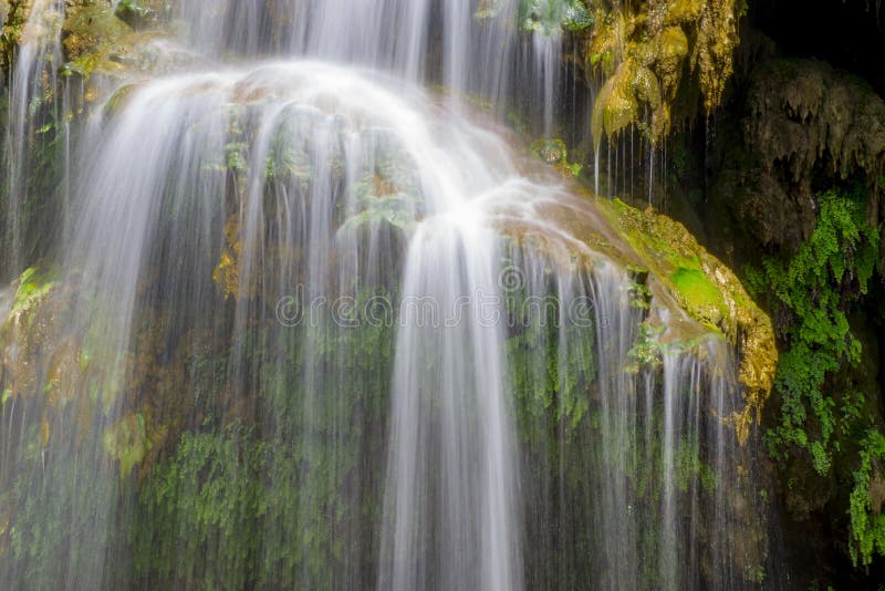 Pure water from the source stock image. Image of health - 71976089