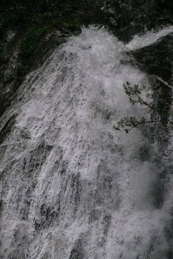 Pure Water Source, Waterfall in the Middle of the Jungle Stock Image ...